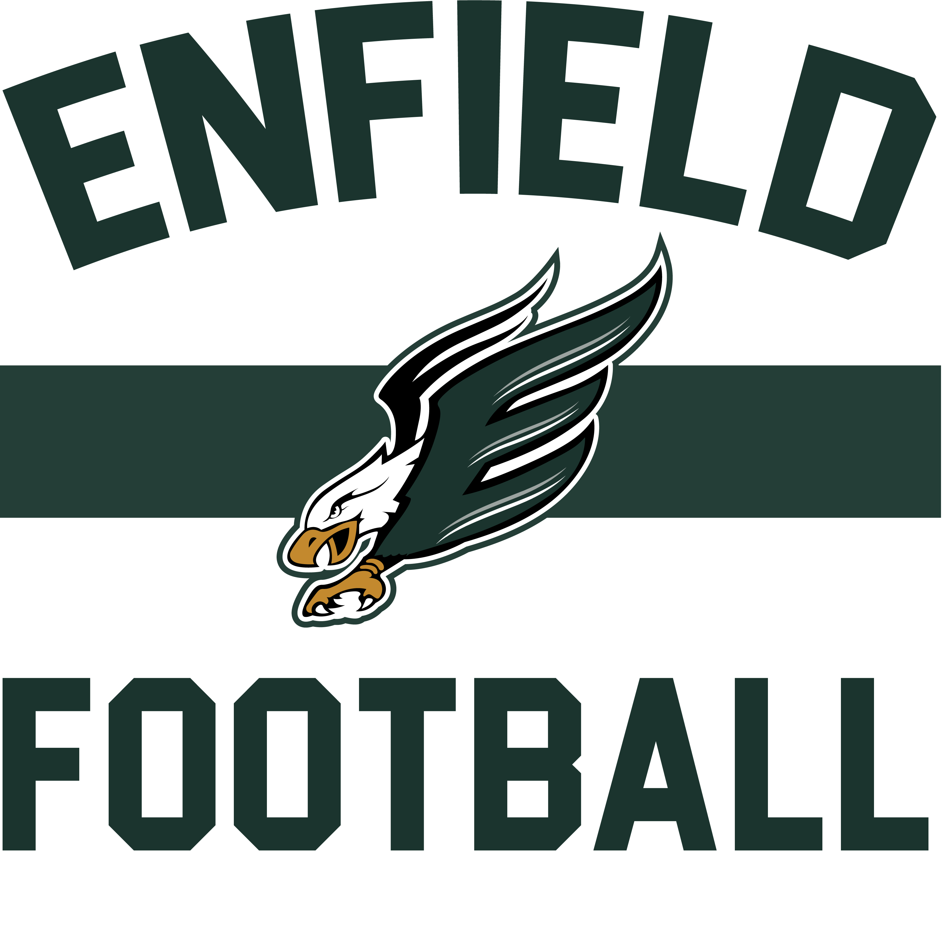 Enfield Eagles Football – DISAL CUSTOM